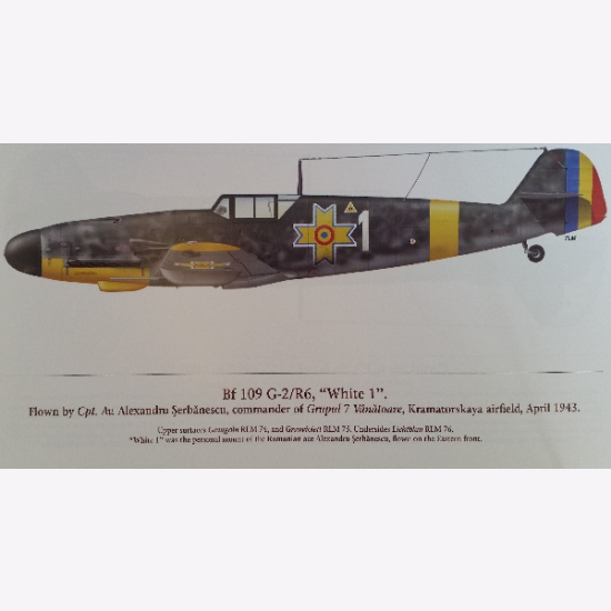 Dan Melinte Messerschmitt Bf 109 Romania Spotlight On Tumpi Bumbi ...